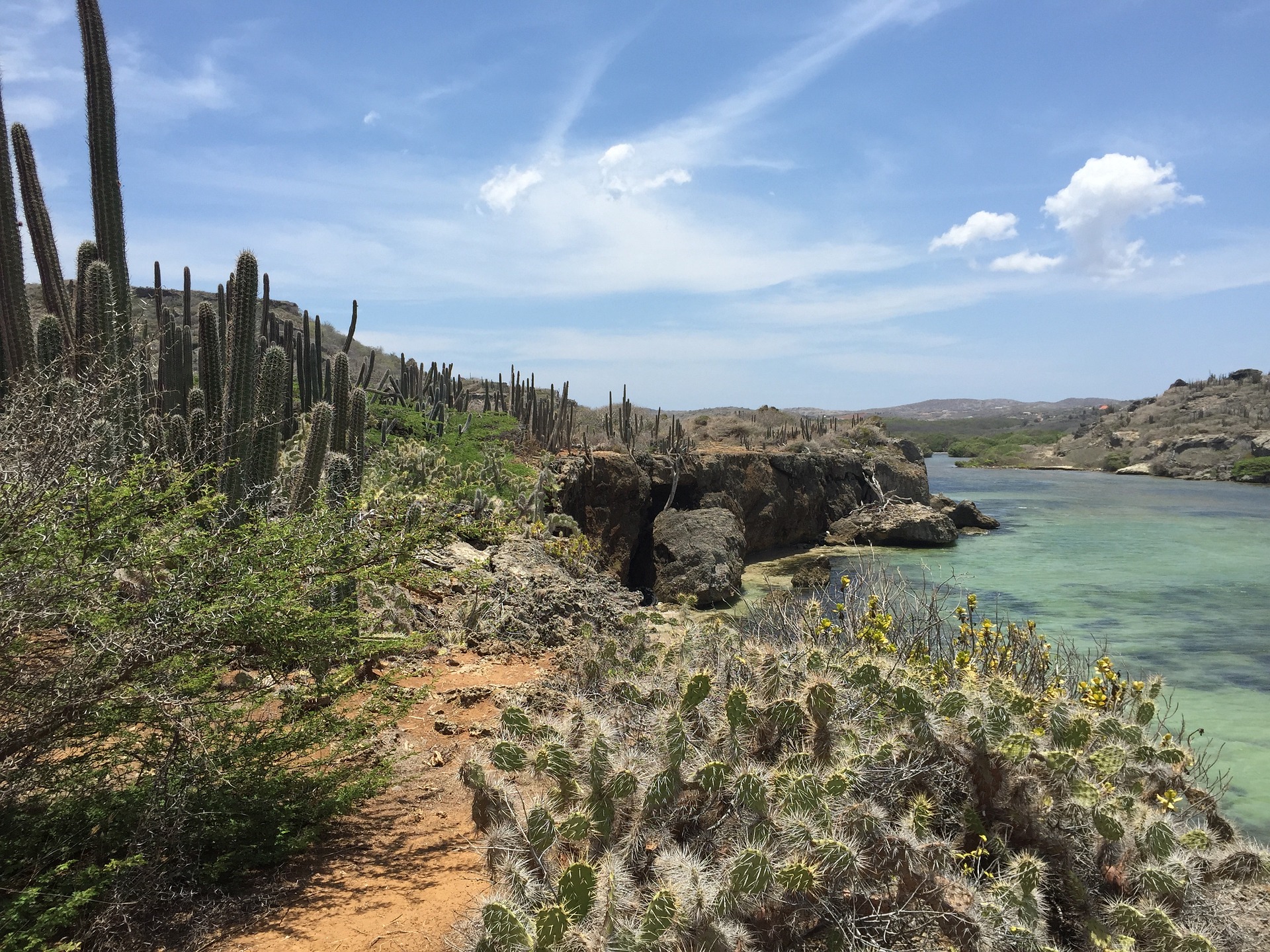 Natuur op Curaçao